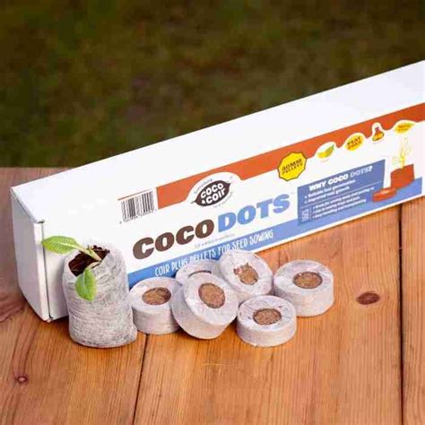 Buy Coco Dot Coir Plug Pellets 40mm 50 Pellets Delivery By Primrose