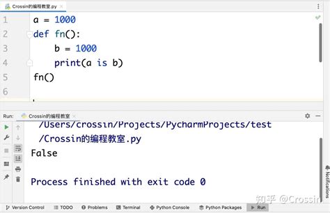 python 精讲 奇葩的 is 知乎