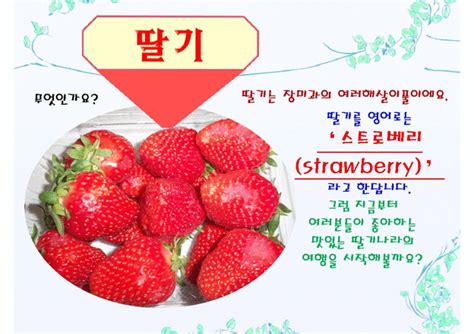 딸기프로젝트 교육계획안 딸기가 되는 과정 딸기로 만든 음식 헛열매 참열매 딸기꽃 딸기잎 뱀딸기 창의활동지 이야기나누기 상호작용 딸기의 역사 딸기가