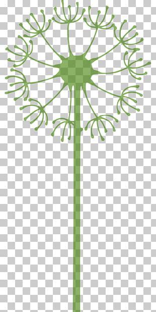 Floral Design Computer Icons Computer File Portable Network Graphics