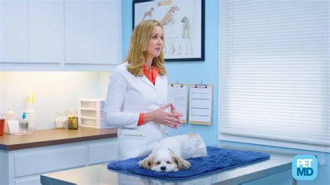 Does Imodium Help Diarrhea In Dogs