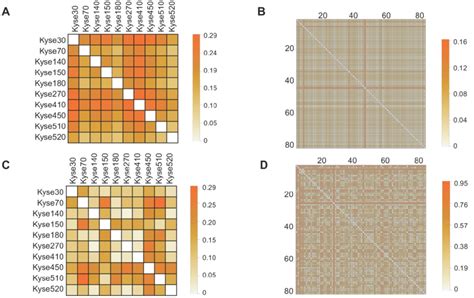 Investigation Of Mutation And Expression Heterogeneity In Ccle Escc
