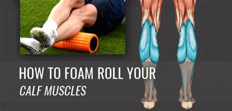 Foam Roller Guides Benefits Exercises And Reviews