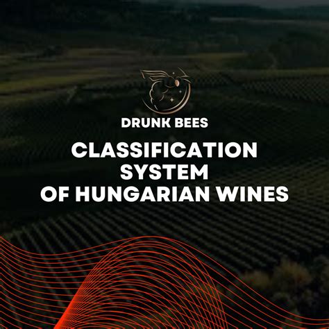Classification System Of Hungarian Wines Understanding Qualityandorigin