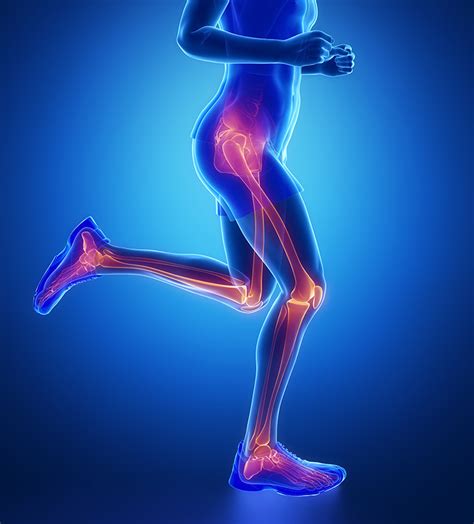 Manual Therapy For Hip Knee And Ankle Foot Pathology Course Hands On