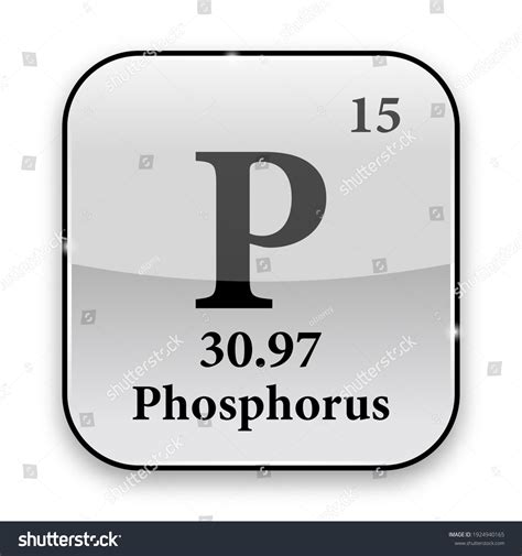 Phosphorus Symbolchemical Element Periodic Table On Stock Vector