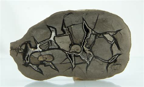 Mineralatlas Lexikon