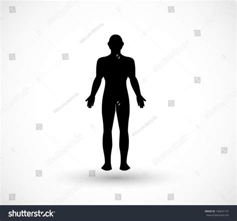 Human Male Body Vector Vector có sẵn miễn phí bản quyền Shutterstock