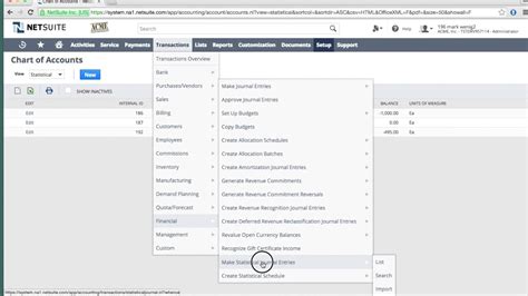 Netsuite Using Statistical Accounting By Truecloud Youtube