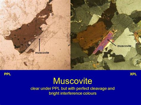 Muscovite Mineral Physical Optical Properties Occurrence Uses