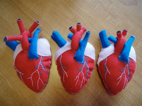 Anatomical Heart Plush by alicetwasbrillig on DeviantArt