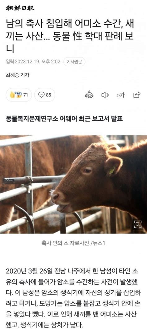 수간 소를 강제로 강x 남자 유머 움짤 이슈 에펨코리아