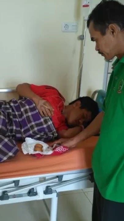 Kisah Akmal Manusia Yg Bisa Bertelur Shorts Funfacts Viralshorts