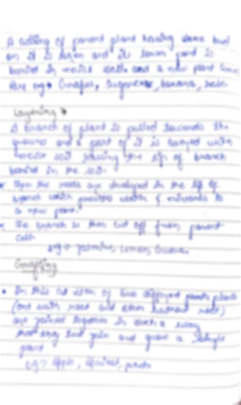 Types Of Vegetative Propagation Class 10 At Toby Noskowski Blog
