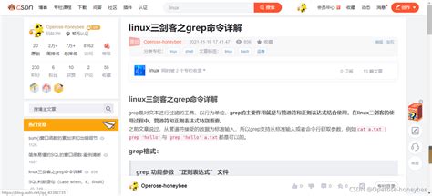 csdn如何导出为pdf文档？ csdn网页怎么保存为pdf csdn博客