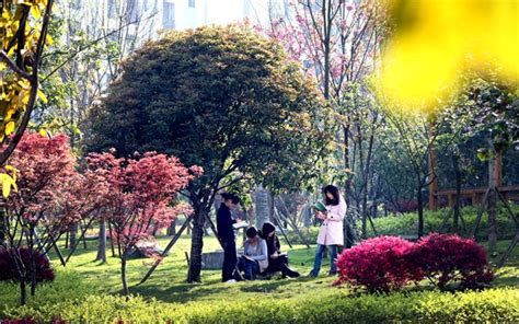 重庆第二师范学院介绍 掌上高考