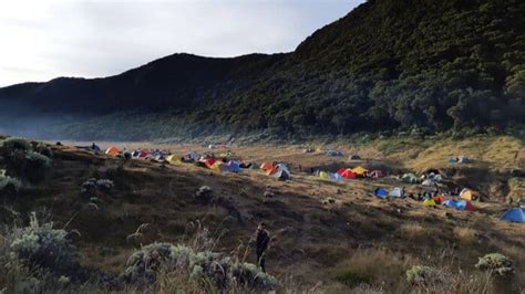 7 Spot Foto Paling Instagramable Di Gunung Gede