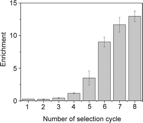 Qpcr Analysis Of Aptamer Pool Binding To R 8 Pcna The Enrichment Of