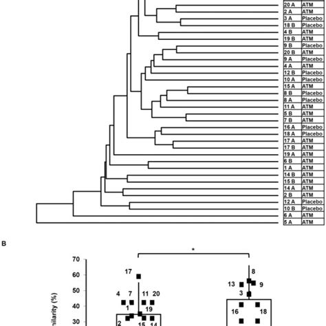 a the similarity dendrogram was constructed using a binary