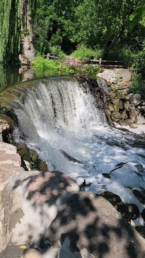 Black Pine Squirrel Jig Euro Leech Pattern Artofit