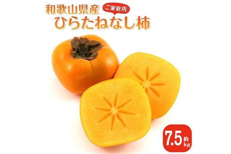 ふるさと納税 「 先行予約 和歌山県産 平核無柿＜ご家庭用＞約75kg【2024年10月上旬以降発送】」 和歌山県九度山町 ふるさと納税