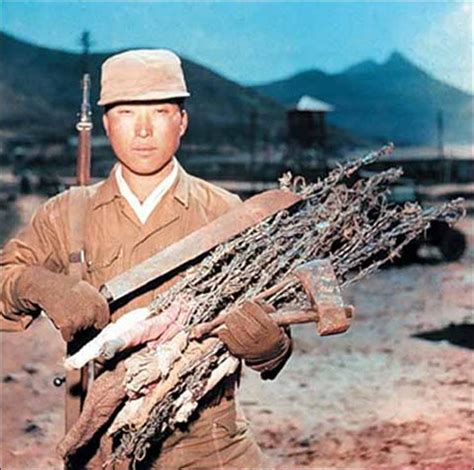 동서문화사 [역사 속 오늘] 1952년 5월 7일 전쟁포로 17만 8천명이 갖혀 있었던 거제도 포로수용소 에서 폭동