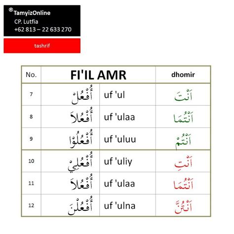 Contoh Fi Il Amr Dalam Al Quran Otosection