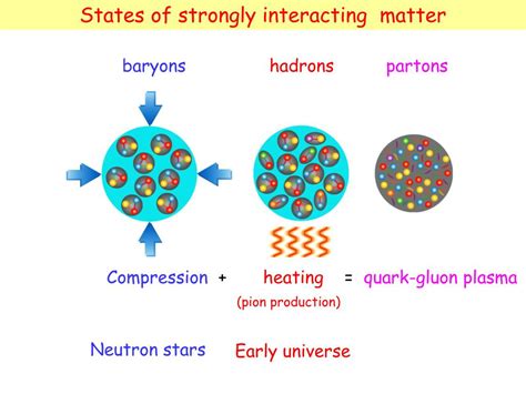 Ppt The Compressed Baryonic Matter Experiment At The Future Facility