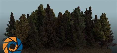 Tutorial How To Create A Forest Backdrop Blendernation