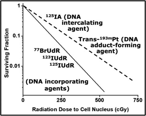 10 Survival Fraction Of Cells Plotted As A Function Of Radiation Dose
