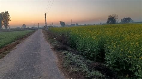 Indian Village Morning 🌄🌄 Youtube