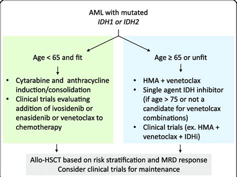 Treatment Algorithm For Aml With Mutated Idh1 Or Idh2 Aml Acute