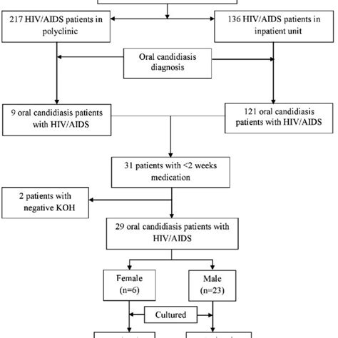 Flowchart Diagram Of Subject Sampling Download Scientific Diagram