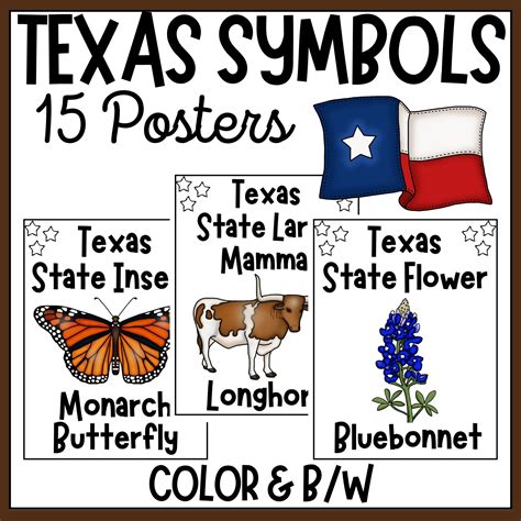 Texas State Symbols Printable Coloring Template