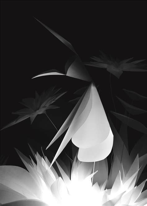 Студенческое портфолио Сердце природы