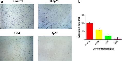 An Orally Antitumor Chalcone Hybrid Inhibited HepG Cells Growth And Migration As The Tubulin