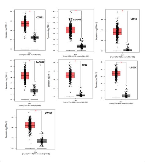 Expression Level Of The Candidate Genes In Eoc Tissues And Normal