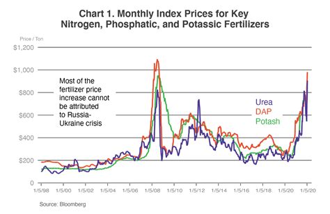 Will Fertilizer Prices Go Down In 2025 David R Taylor