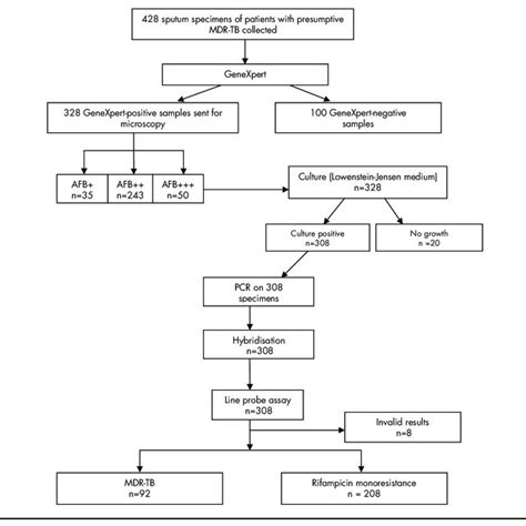 Sample Collection And Processing Flow Chart Download Scientific Diagram