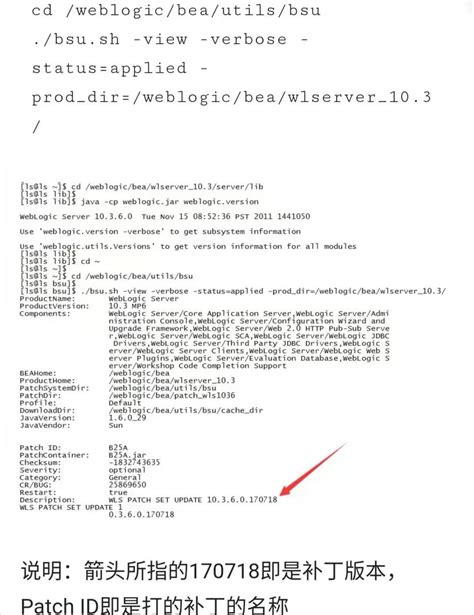 Weblogic补丁版本信息查询命令 迪克推多0 博客园