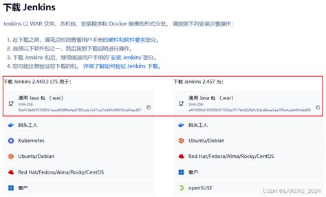 使用 Java Jar 命令启动jenkins服务（linuxwindows）java Jar Jenkins Csdn博客