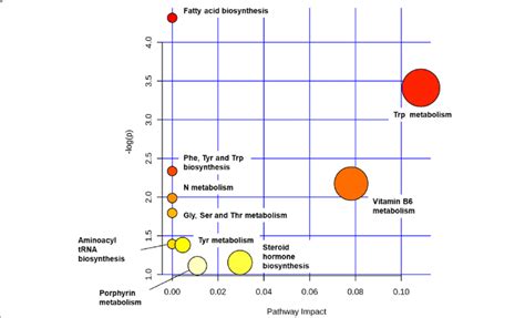 Pathway Impact Of Differential Metabolites According Survival The 11