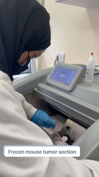 Asmaa A Mostafa On Linkedin Science Research Histology