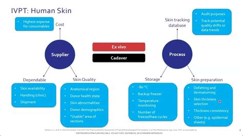 2021 Ivrtivpt Workshop Day 1 Leandro Santos Presentation Youtube