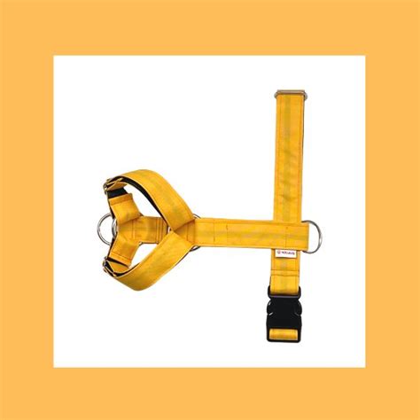 Arnes Para Perro Impermeable Amarillo