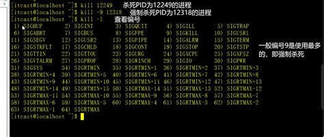 进程相关命令 Topandpsandkill 03 除暖的专栏 Tnblog