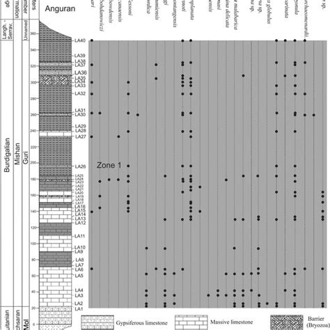 Stratigraphic Column And Foraminifer Distribution Chart In The Gery