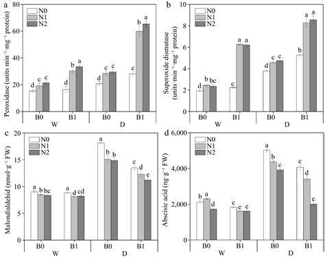 Biochar Amendment Improves Water Fertilizer Productivity Of Perennial Ryegrass Under Different