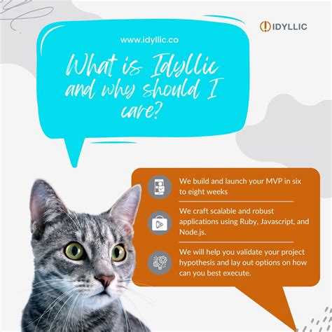 Jen Durkin On Linkedin Offshore Software Development Startups