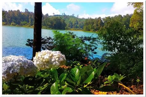 Wisata Jawa Tengah Menikmati Pesona Telaga Warna Cocok Jadi